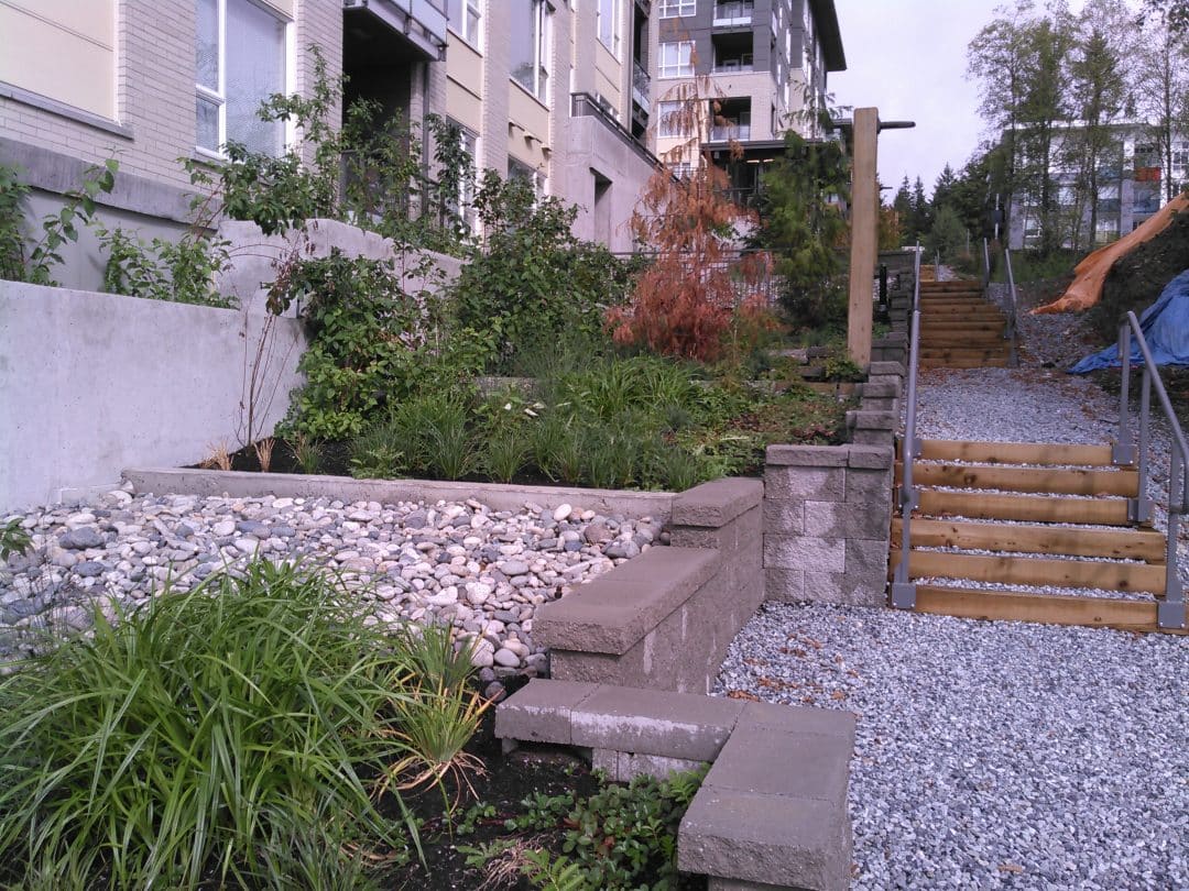 Rain Gardens and Infiltration Systems