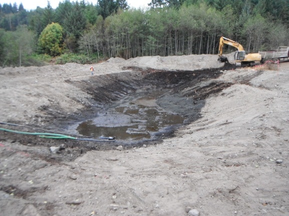 Engineered Wetlands | Keystone Environmental Ltd. | Burnaby BC